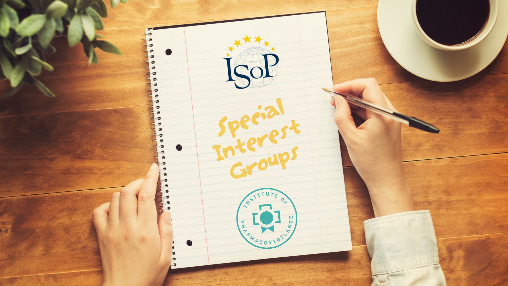 The ISoP Special Interest Group on Pharmacovigilance Professional ...